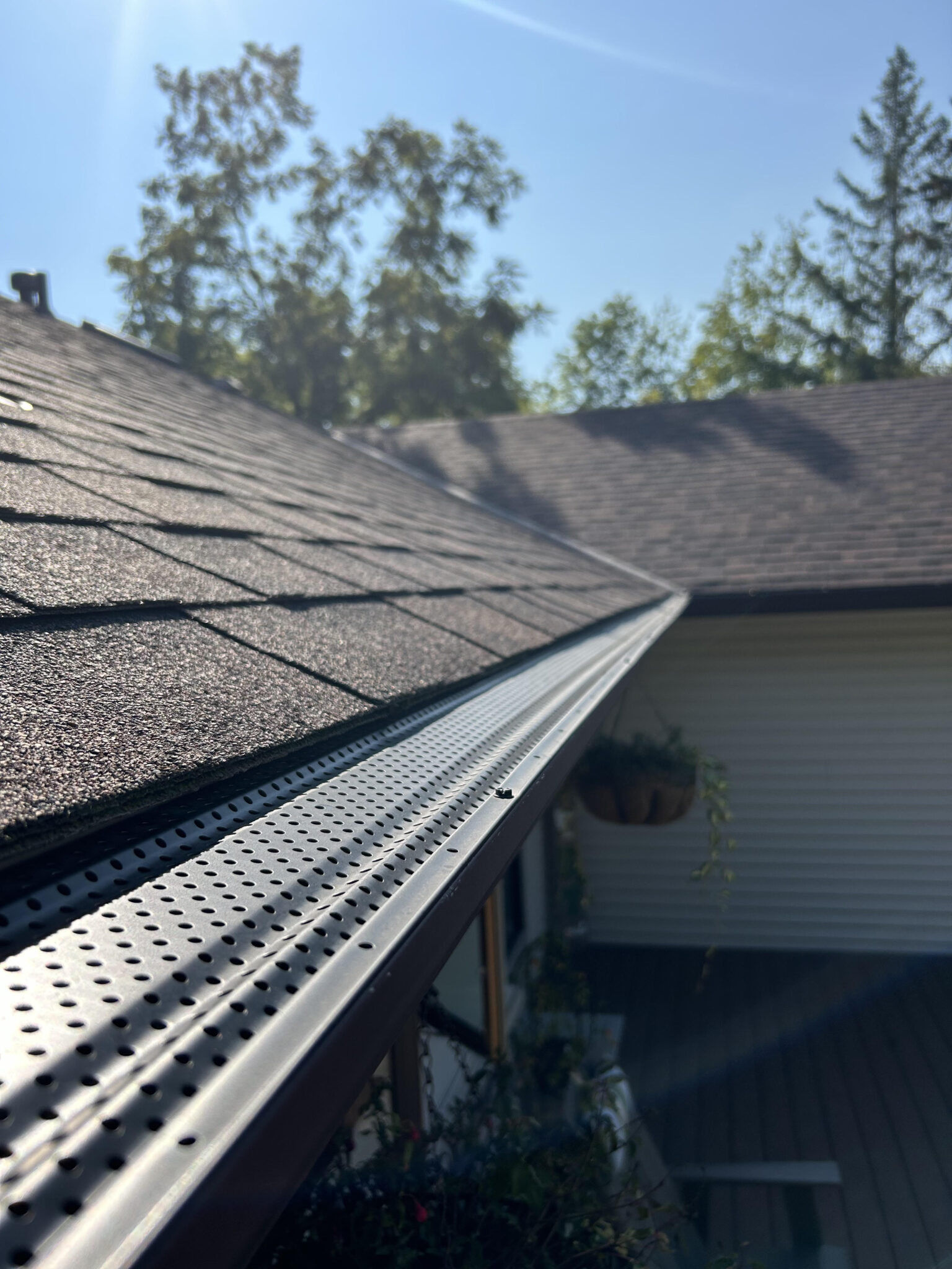 Leaf guards or no? Ins and outs of protecting your gutters | Close to ...